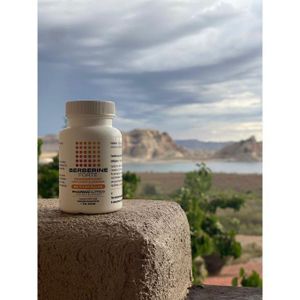Generic BERBERINE FORTE 60 V-CAPS PHARMANUTRICS