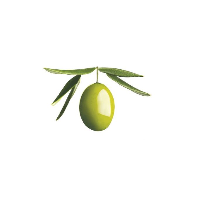Garnier Ultra Doux SHAMPOING OLIVE MYTHIQUE – 400ML à prix