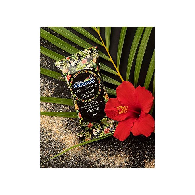 Ultra Compact Lingettes nettoyantes pour les mains et le corps Alcohol ...