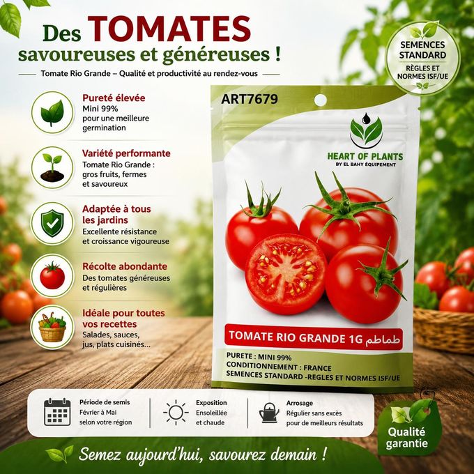 Generic Graines de Tomate 1g – Semences Potagères de