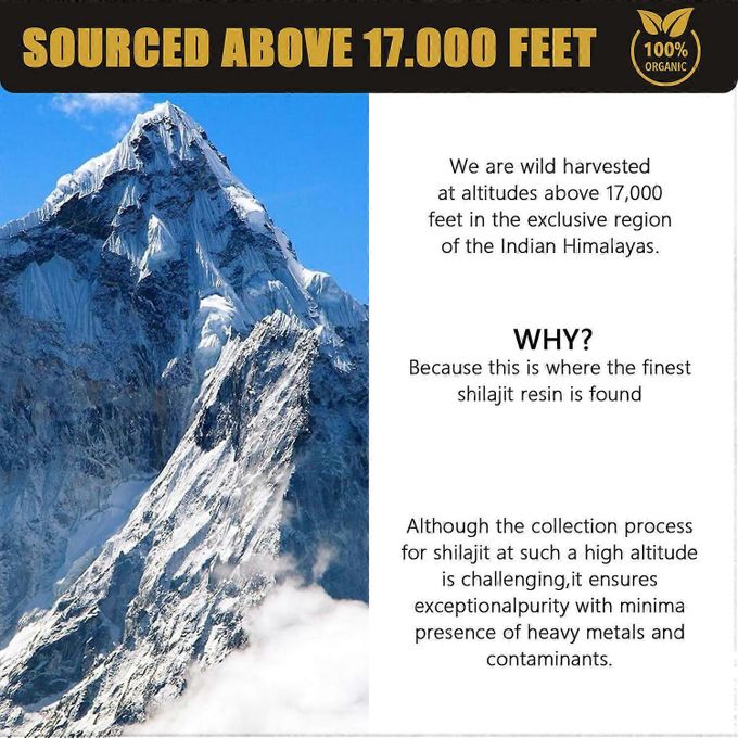 Generic Shilajit Pur de l'Himalaya – Boost d'énergie, minéraux et acide ...